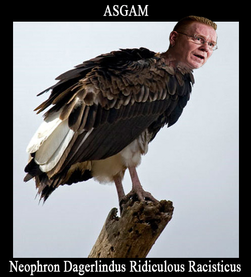 Slutpixlat: Fågelskådaren Dagerlind. En asgam som öppnat käften!