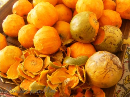 Organizer Marthinhasol Manaus: Manaus minha cidade querida, tem muito ...