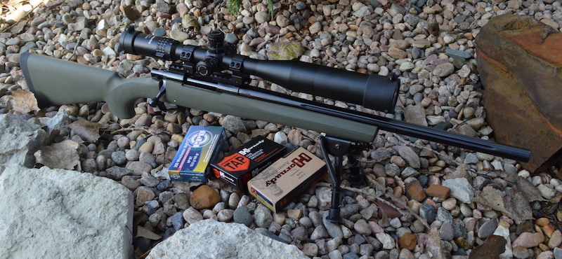 Howa Targetmaster .308 Rifle Review