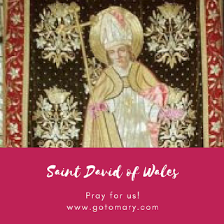 Saint David of Wales - Go to Mary Blog
