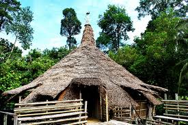 Bluebird: Bidayuh Culture