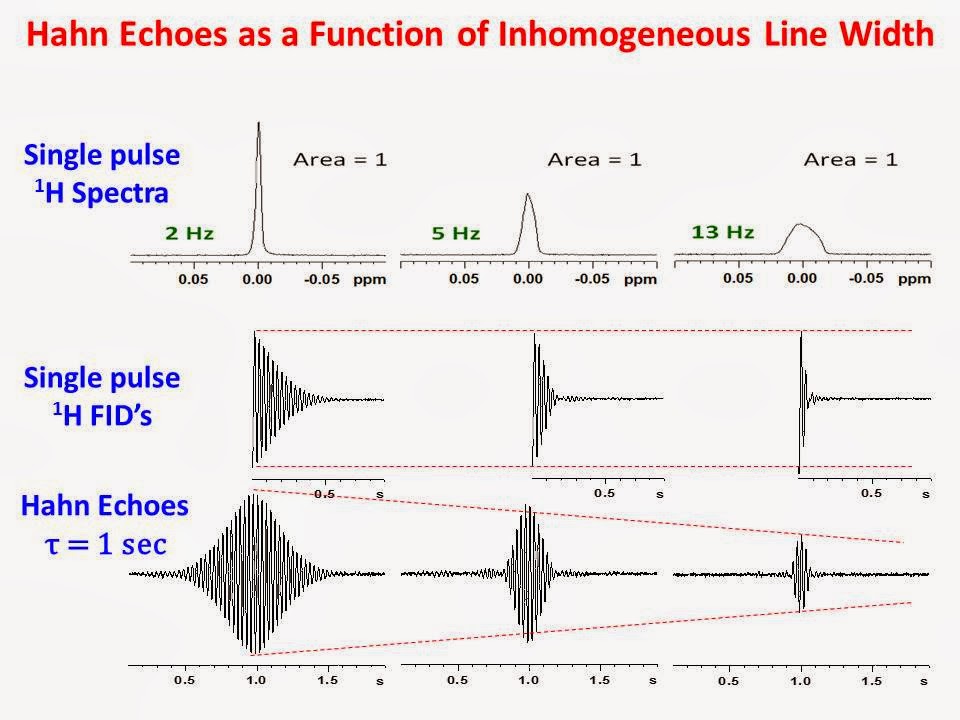 University of Ottawa NMR Facility Blog: Echoes, T2 Measurements and ...