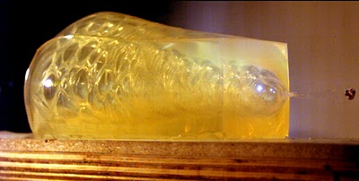 Someone told me I should...: The Day After...Open Letter to Open Carry ...