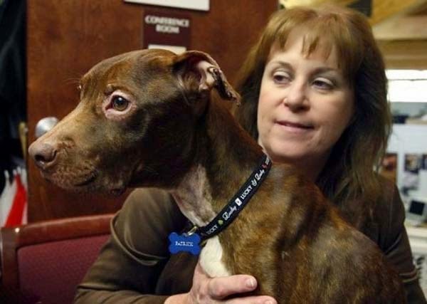 LA ASOMBROSA TRANSFORMACIÓN DE ESTE PERRO RAQUÍTICO Y MORIBUNDO | Mis ...