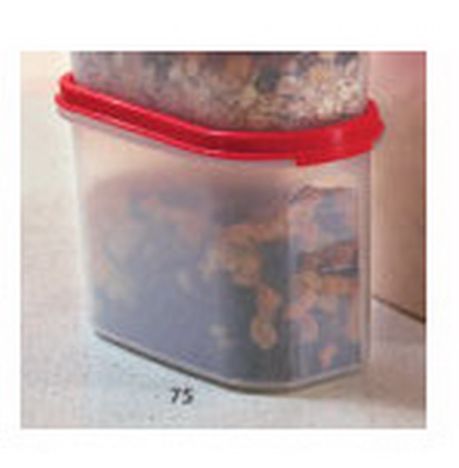 Tupperware MODULAR MATES OVAL 2 - AGEN TUPPERWARE INDONESIA