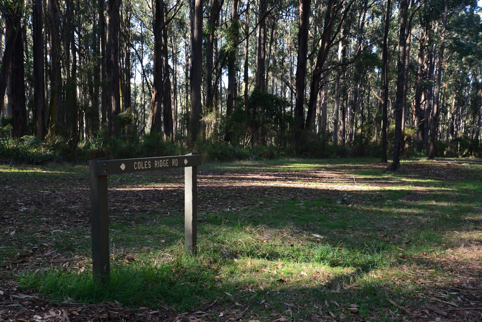walkabouters club of victoria inc: Sherbrooke Forest, Dandenong Ranges ...