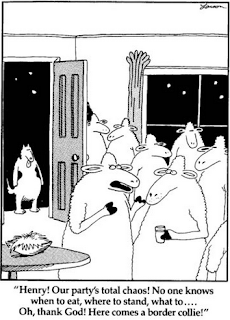 The Ed Tech Maniacs: Lessons in Education, Featuring Gary Larson: Part VI