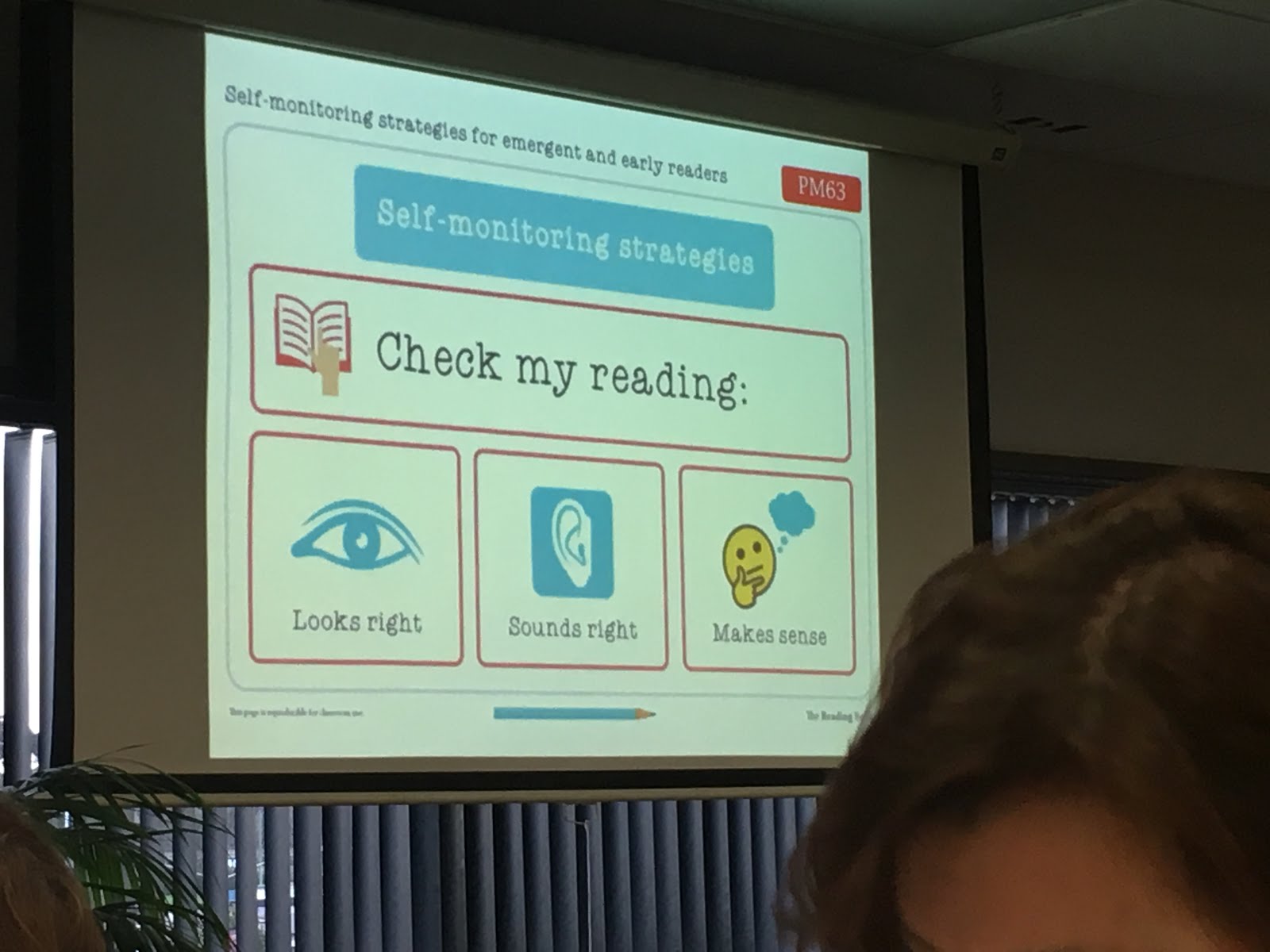 The Reading Book - Sheena Cameron & Louise Dempsey