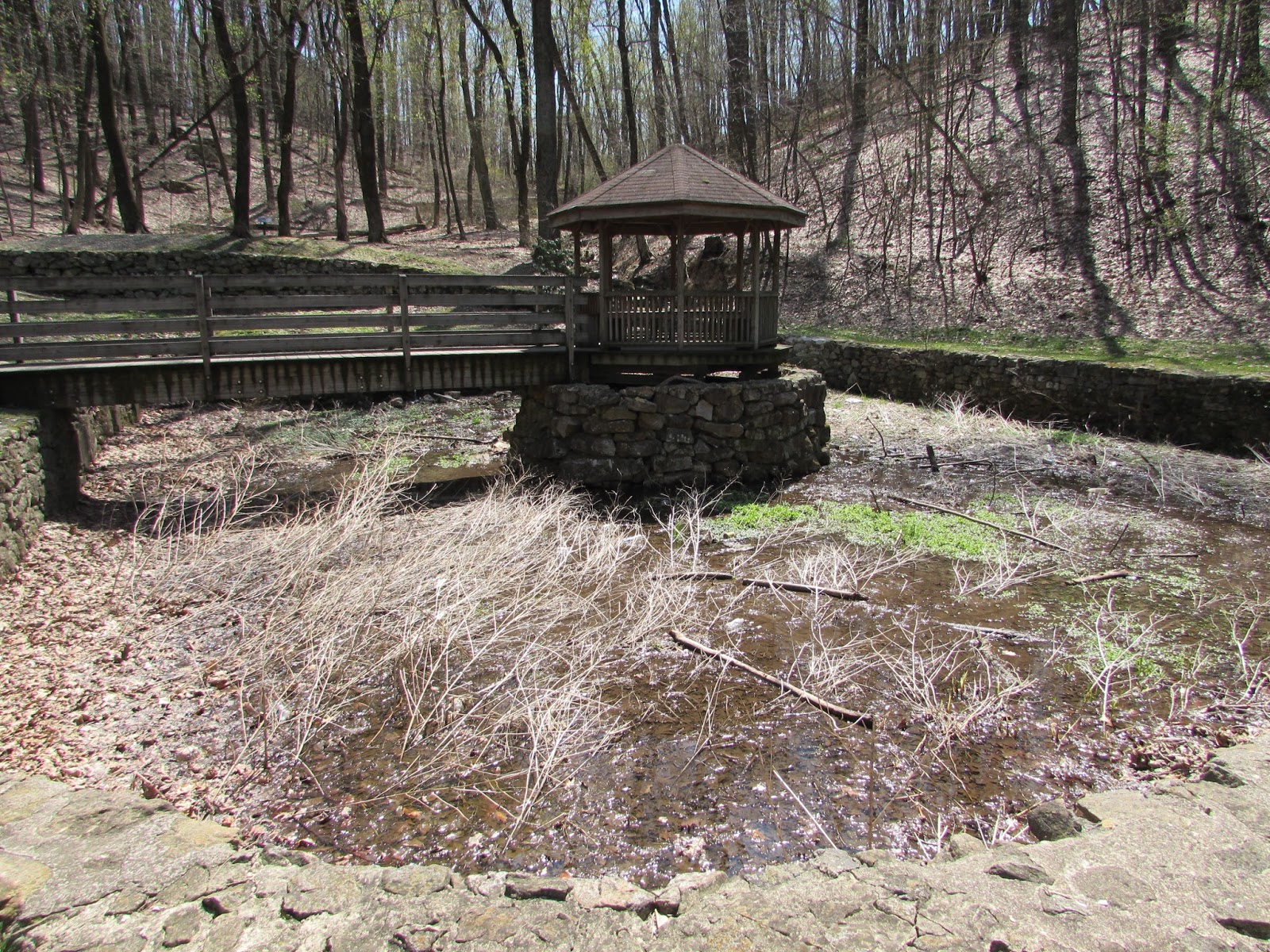 Where Is Fountain Springs Pa at Jack Belser blog