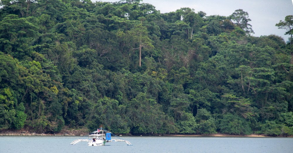 Plan Your Subic Tour: The Bay Guide - Travex Travels - Travel. Explore ...