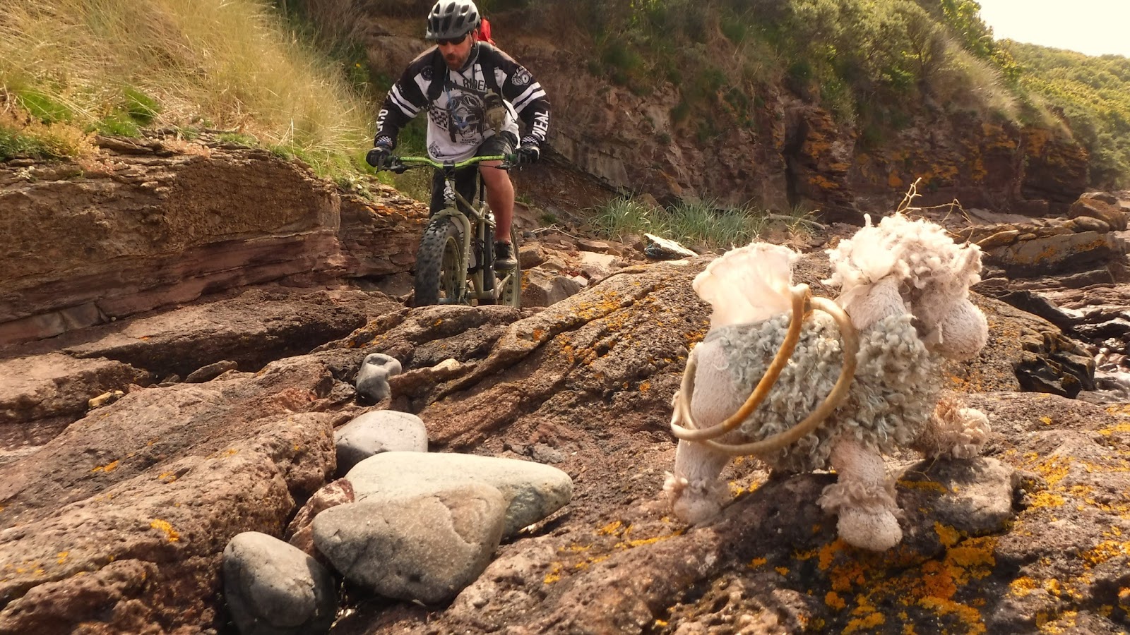 coastrider: Surly Wednesday update...