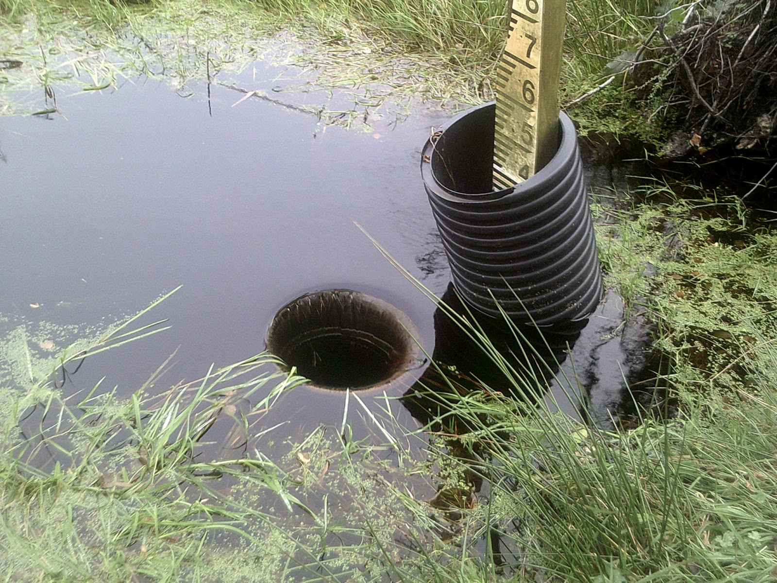 wigton physics: Black Hole at Campfield Marsh RSPB