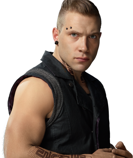 Divergent France: Portraits officiels des personnages