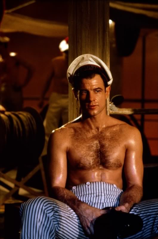 Bitterness Personified: Reflections on Querelle (1982)