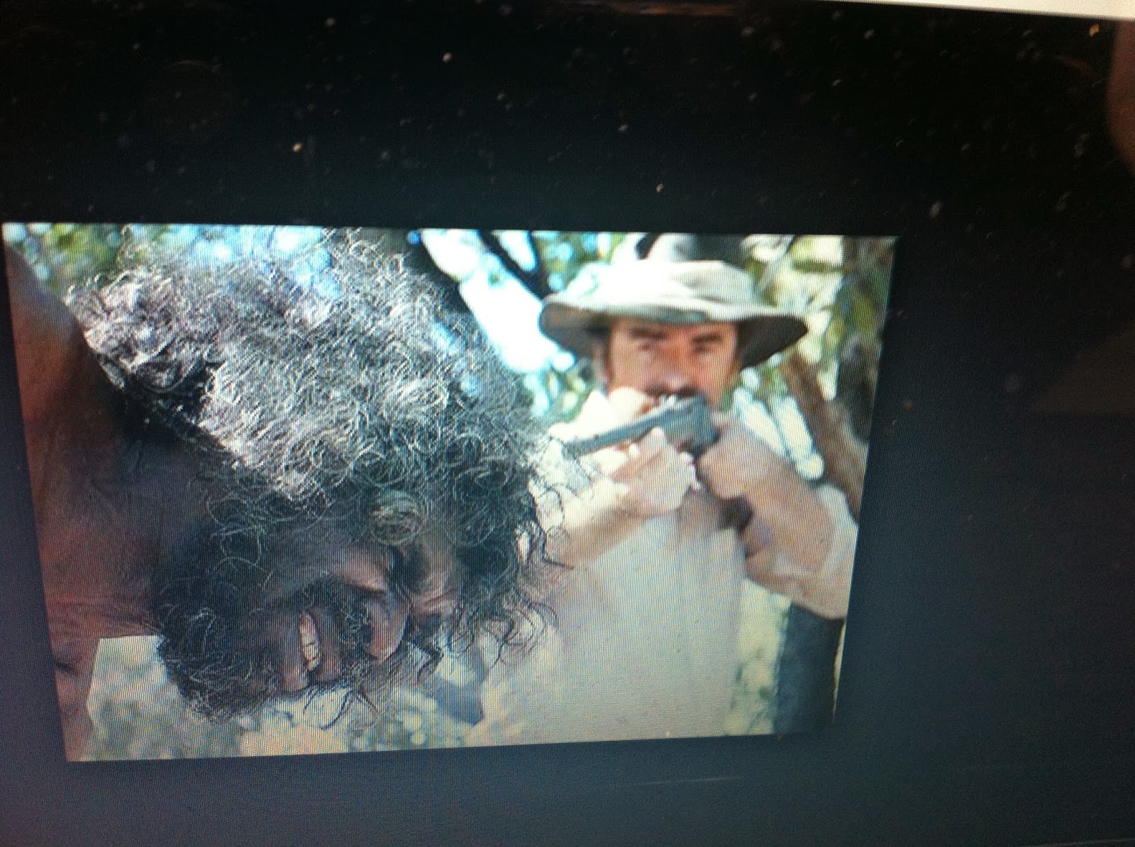 THE BLACK SOCIAL HISTORY:: BLACK SOCIAL HISTORY : THE WATERLOO CREEK ...