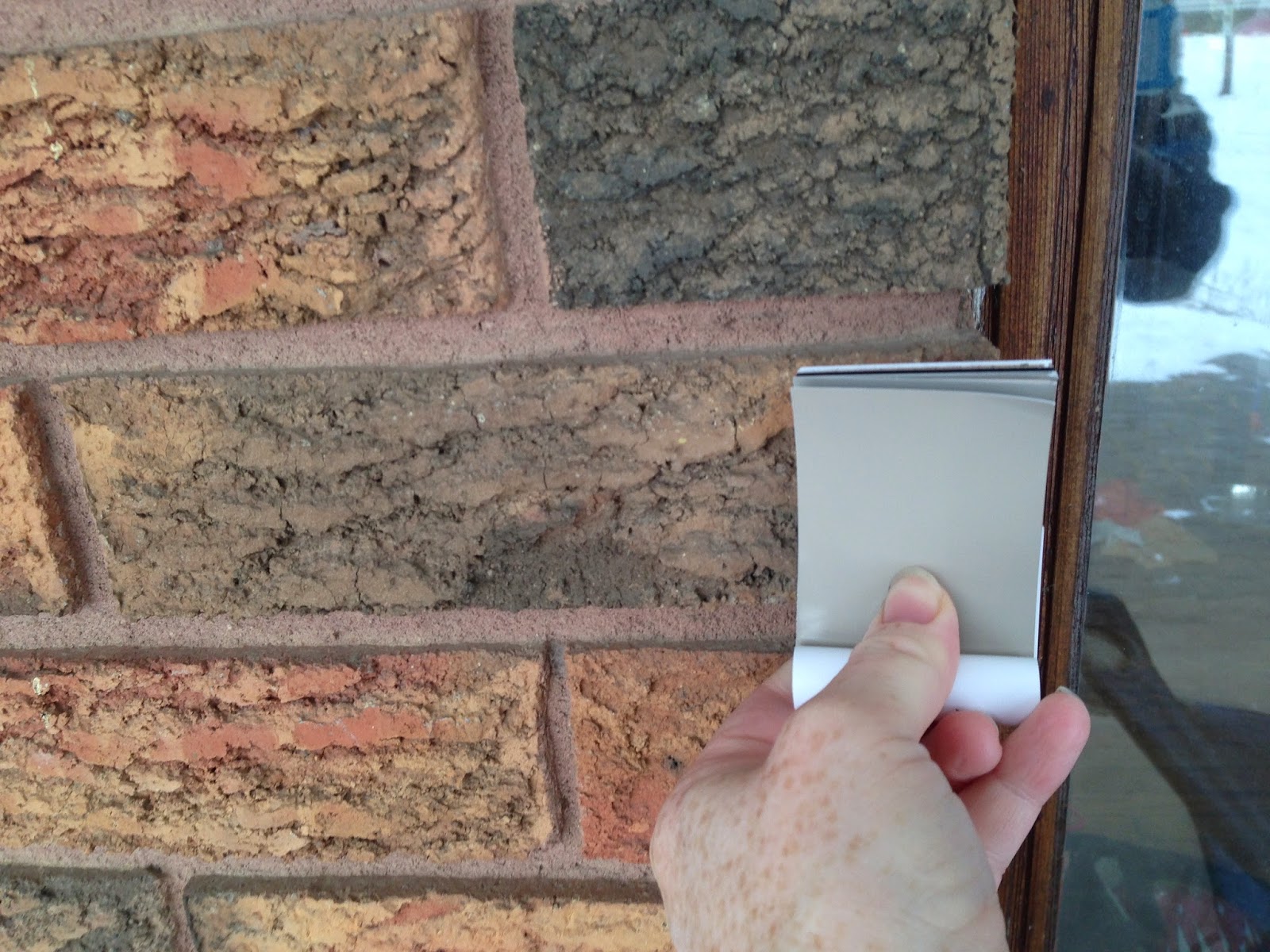 Peas and Harmony: Curb Appeal: Window Colour