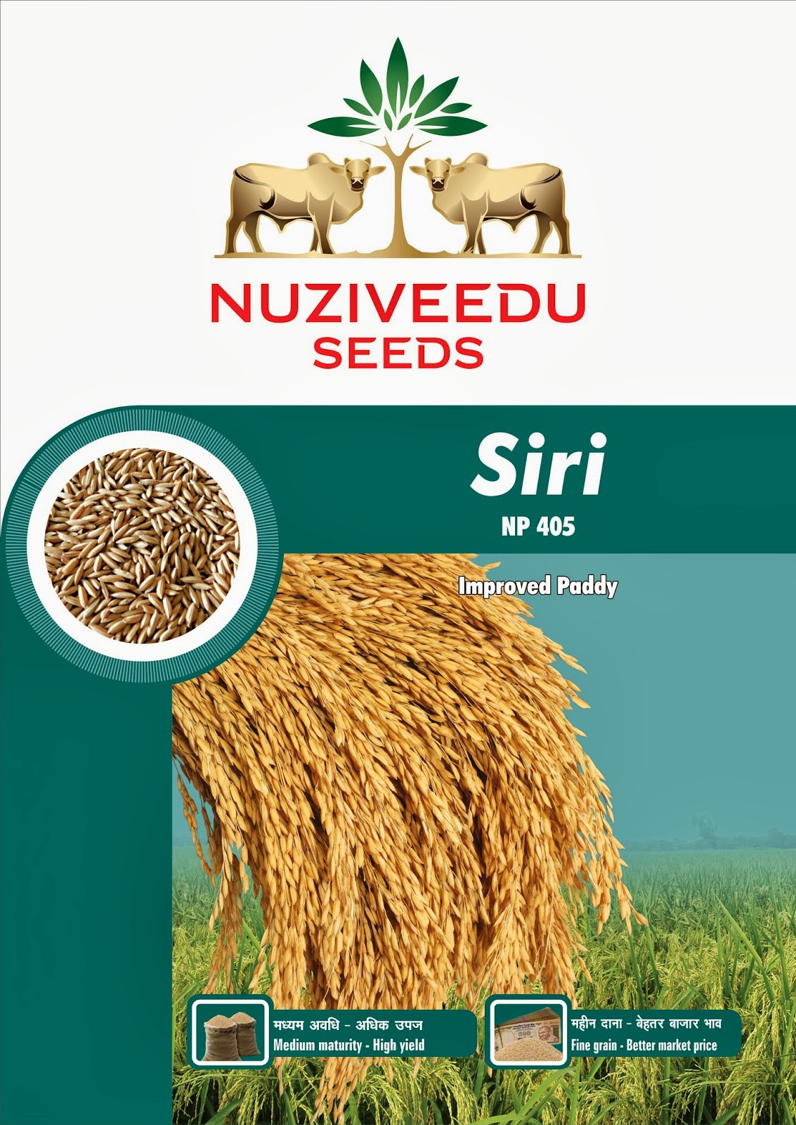 Nuziveeduseeds: List of Paddy Products