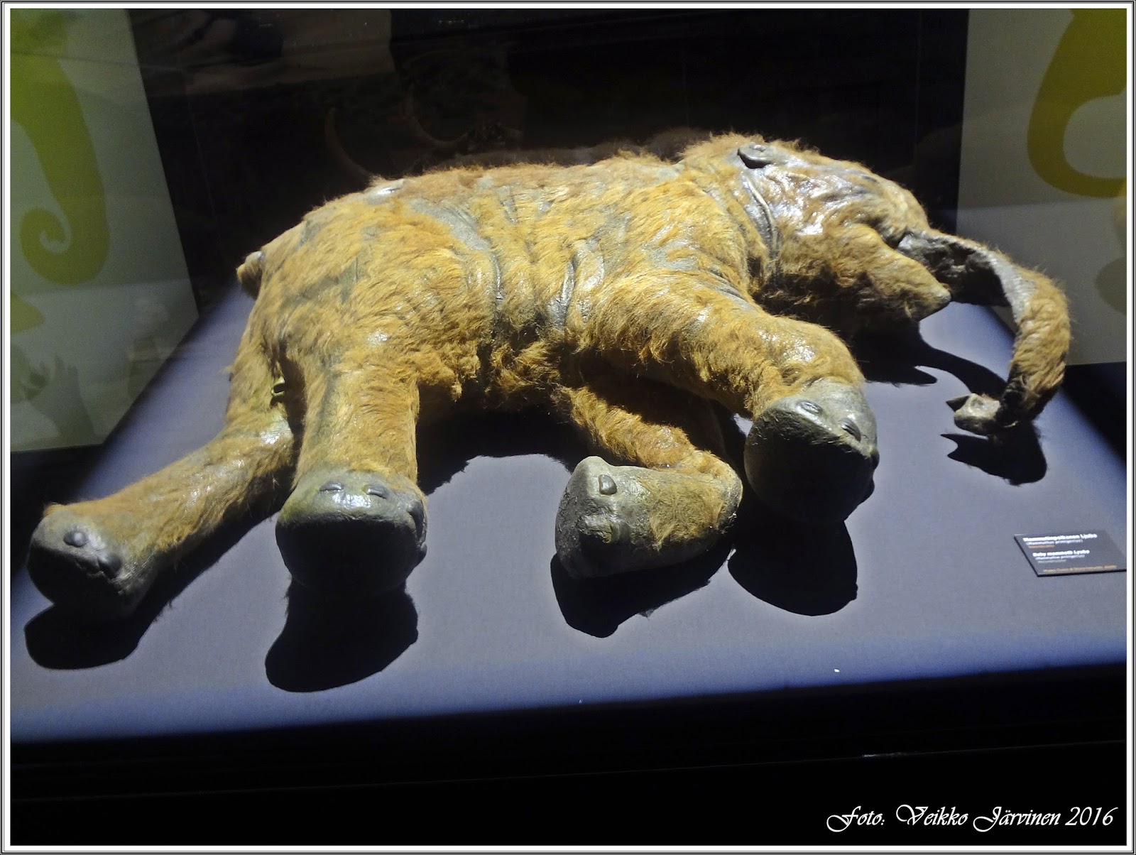 Piippukylästä: Mammutin matkassa.