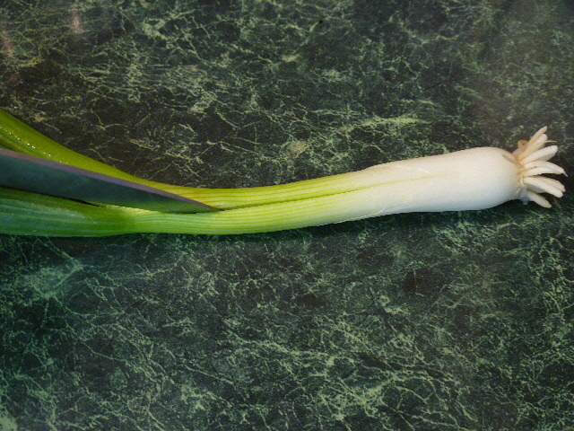 Ms. enPlace's How to...