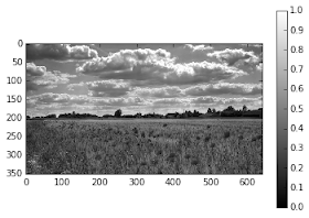 IMAGE PROCESSING: Read Image using skimage Module