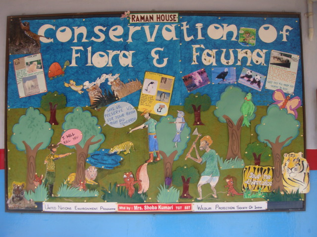 Conservation of Flora & Fauna: Conservation Of Flora And Fauna