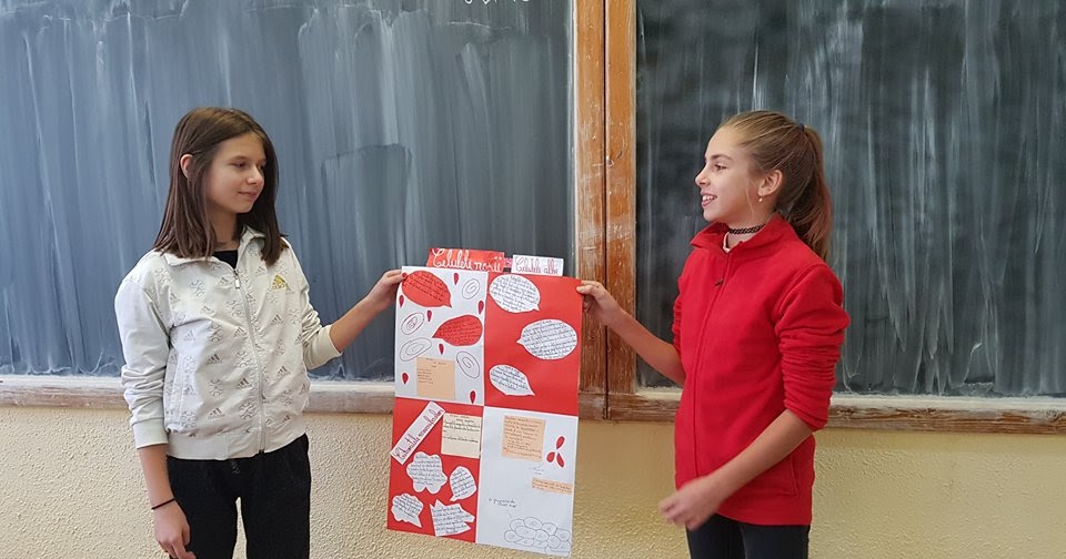 Dream Big! Dream Eco!: Proiectul educațional ”Profesor pentru o oră!”