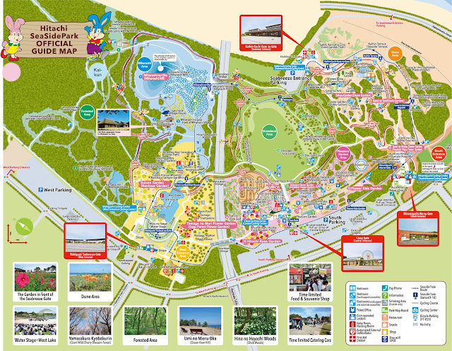 Sehari ke Hitachi Seaside Park - Food, Travel and Lifestyle Blog