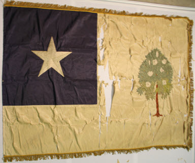 McCain's Corner: The Lone Star Flag Part II