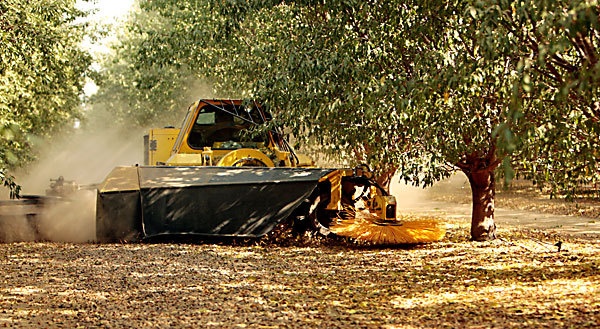 Sustainable Ag: A View from the Field: Almonds Get Swept Up in the Two ...