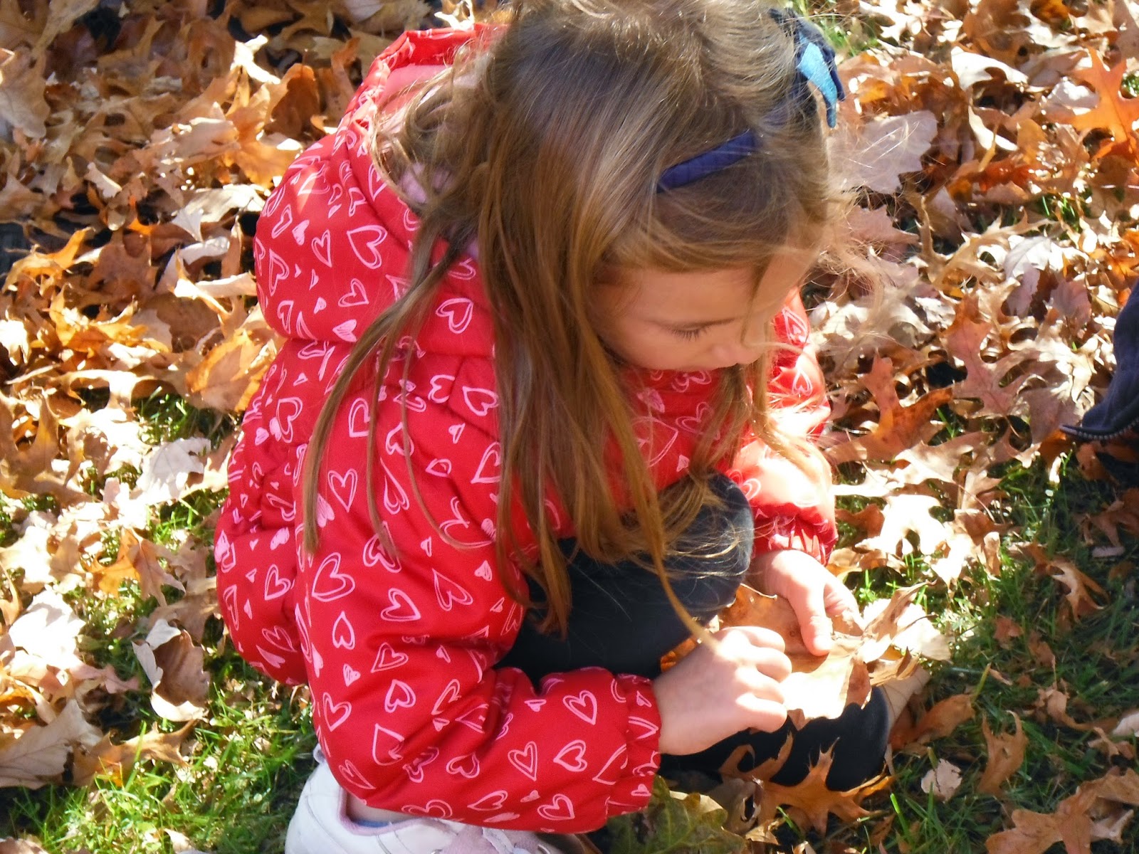 Learning in Early Years: Nature Walk