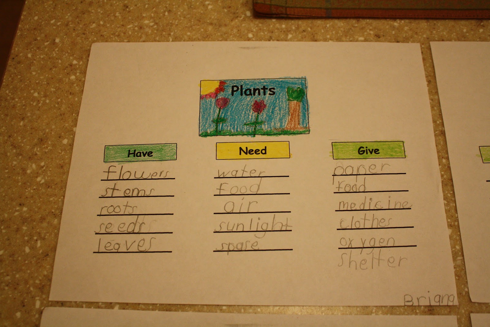 First Grade Days!: Away We Grow! Week 1