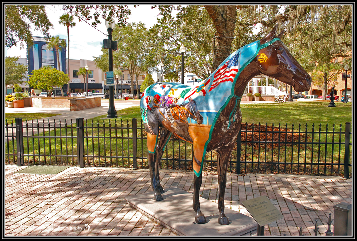 Ocala, Central Florida & Beyond: New Sign and Horse for Ocala's ...