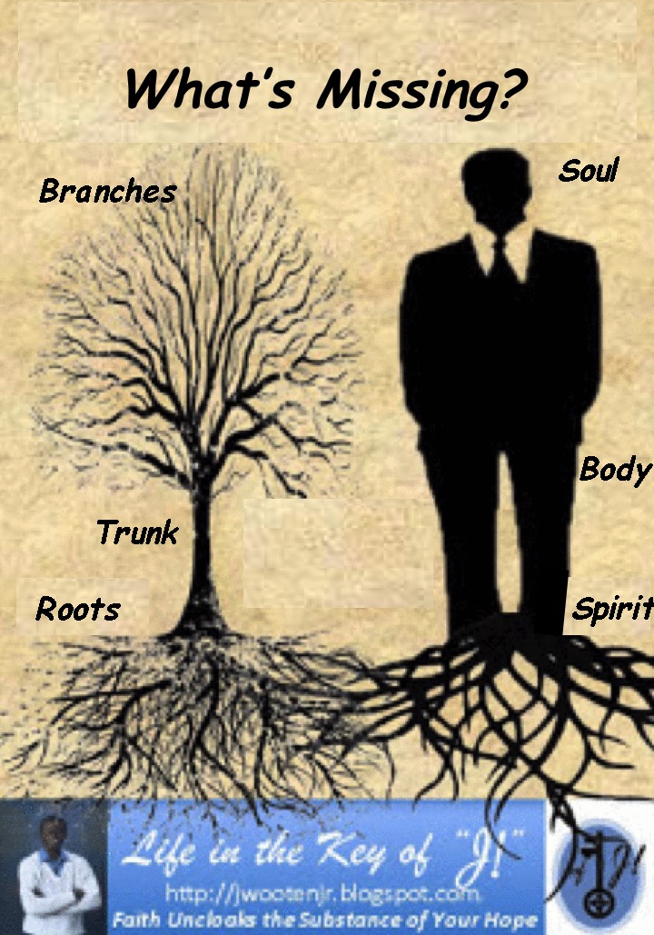 Life in the Key of 'J!': Lessons from Trees (Series)