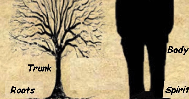 Life in the Key of 'J!': Lessons from Trees (Series)