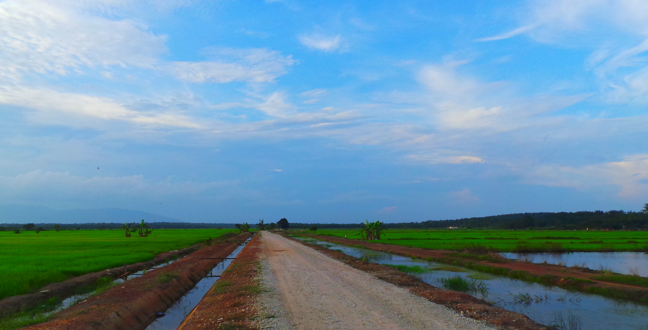 KAMPUNG SAWAH RING: Infrastruktur