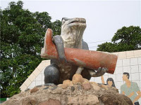 La Selva y Sus Encantos: SAPOSOA