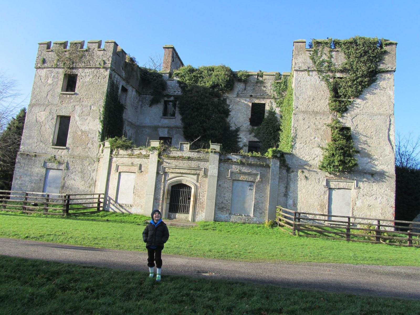 EXPAT WITH KIDS IN DUBLIN : Donadea Forest Park, just outside Co. Dublin