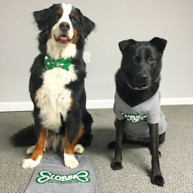 Slobbr - A Foursquare for dogs - Tech News 24h