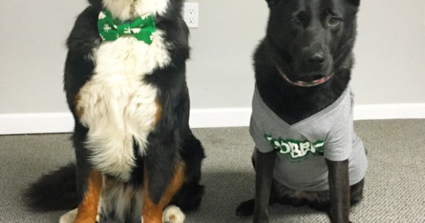 Slobbr - A Foursquare for dogs - Tech News 24h