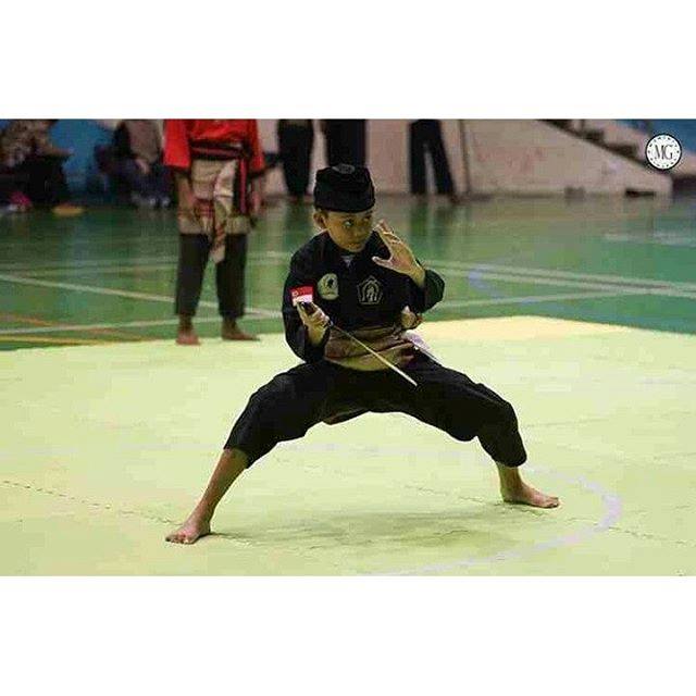 pencak silat suaka pasung laksa banyuwangi: logo pencak silat se nusantara