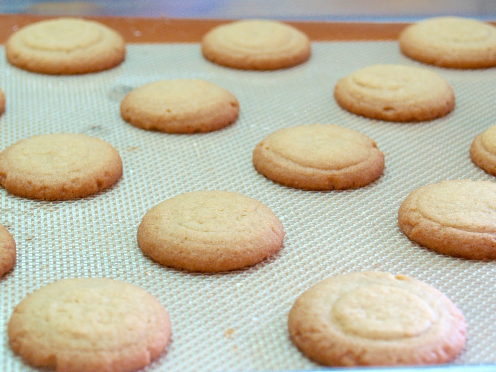 Hungry Hungry Highness: Vanilla Wafers