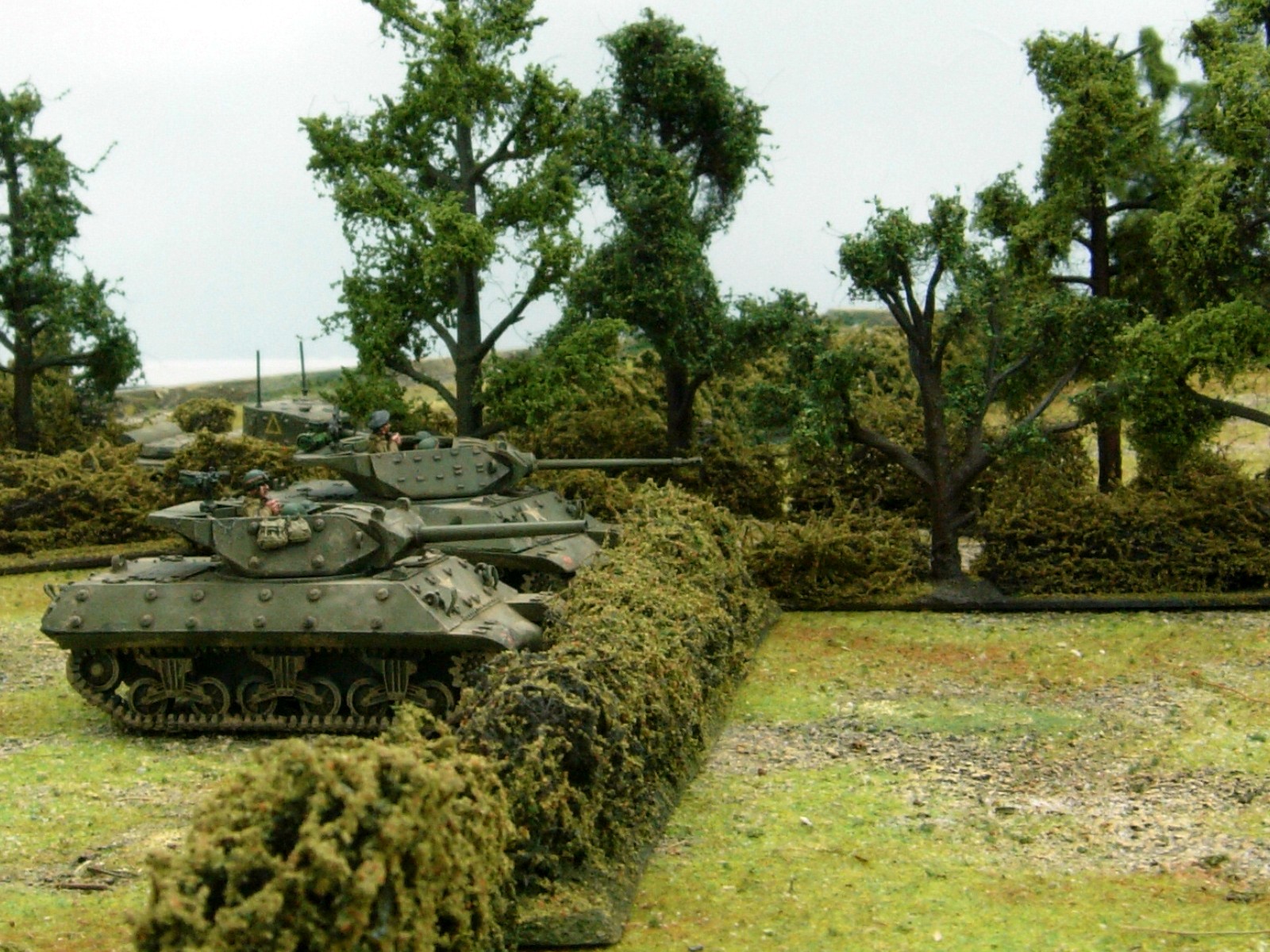 [TMP] "WW2 wooded terrain" Topic