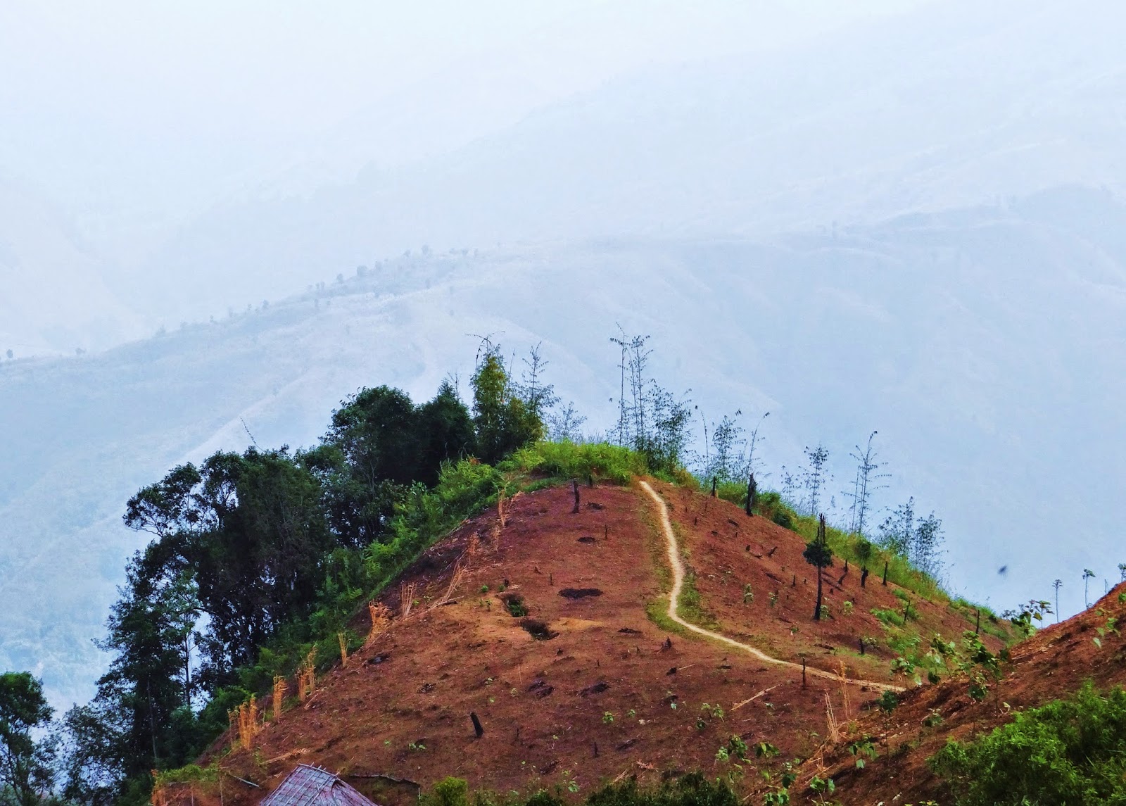 THE WANCHO: ENCHANTED GLIMPSE OF THE WANCHO INHABITED LONGDING DISTRICT ...