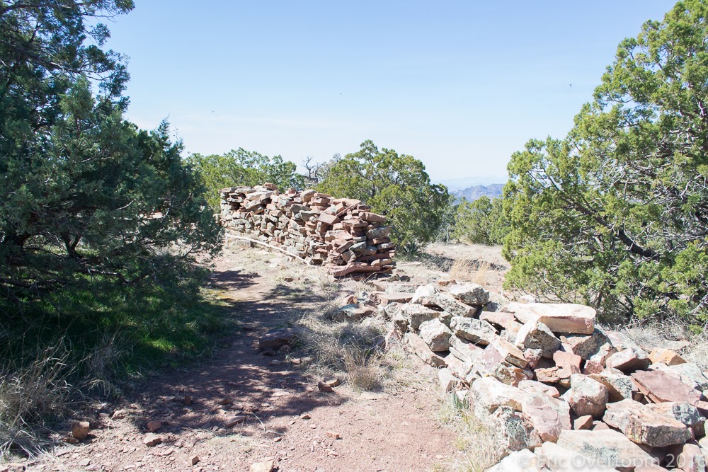 A Troll in the Woods: Reavis Ranch Backpacking Trip March 2016