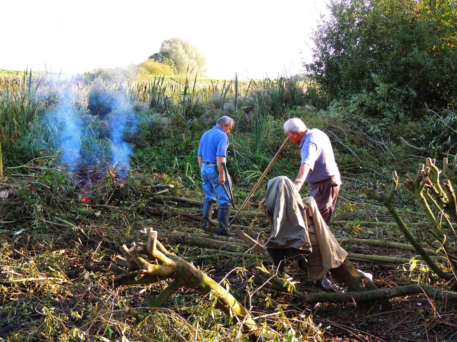 Tophill Low Nature Reserve: A temporary holt