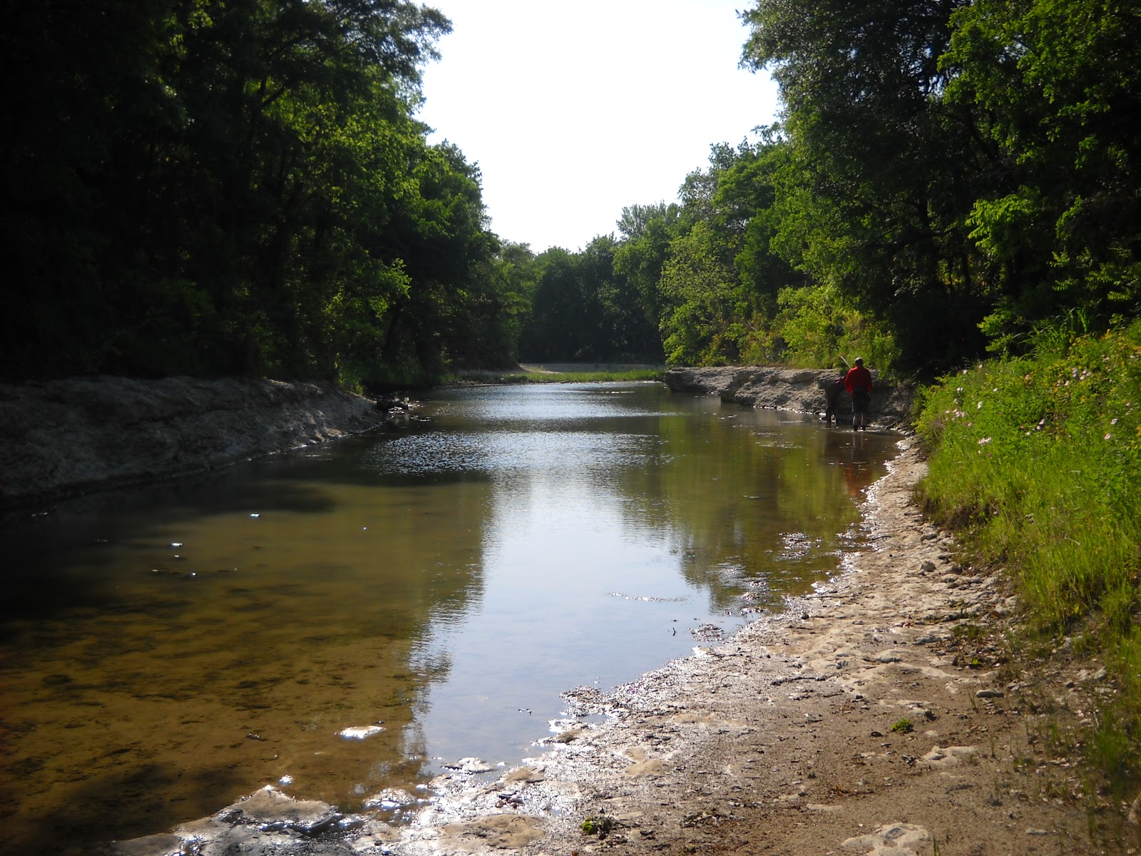 FishOn! the Fly: Nolan River White Bass