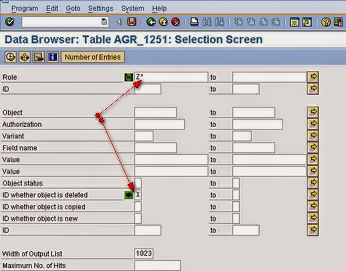 TIME 4 SAP SECURITY : How to find out Open status Authorizations in Z ...