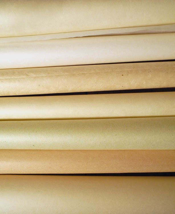 Studio and Garden: Adventures in Printmaking: Japanese Paper