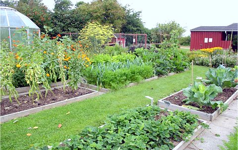 crop garden | Beauty Garden Wallpapers