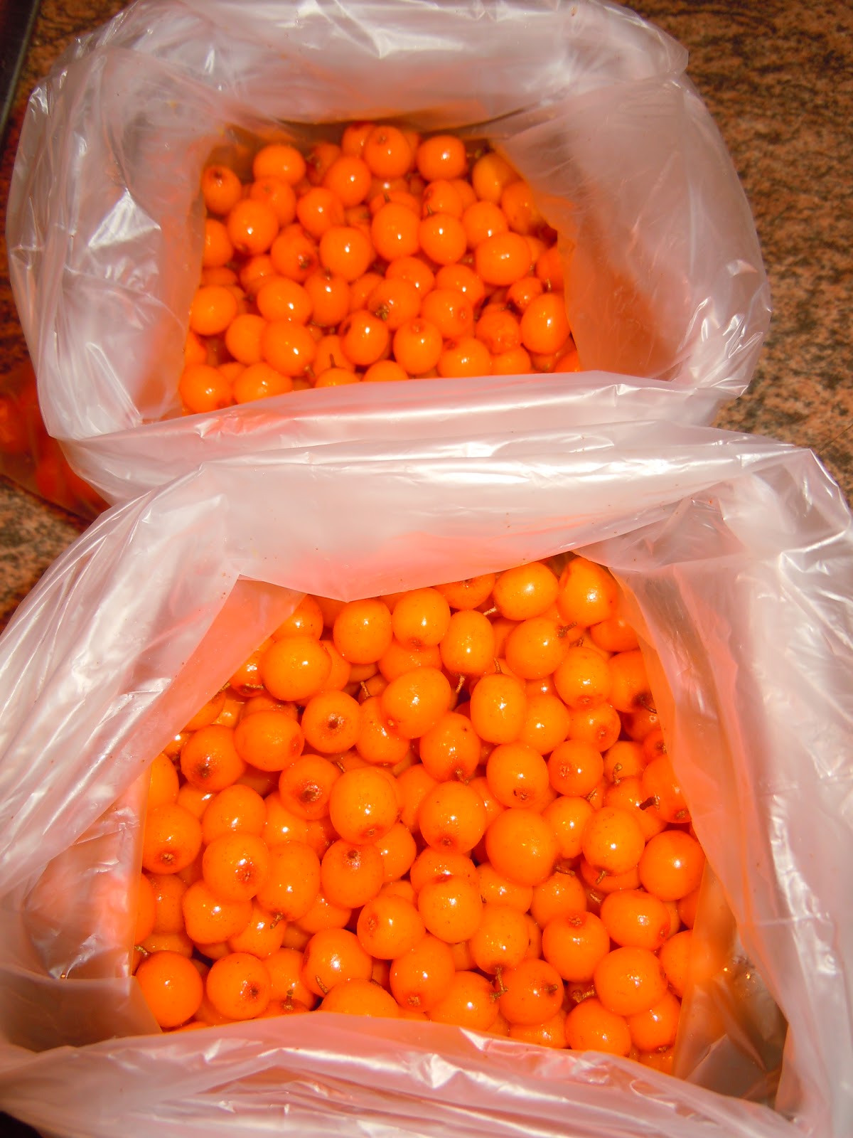 Jaanan Kakkupuoti: Tyrnimarja-lahjus